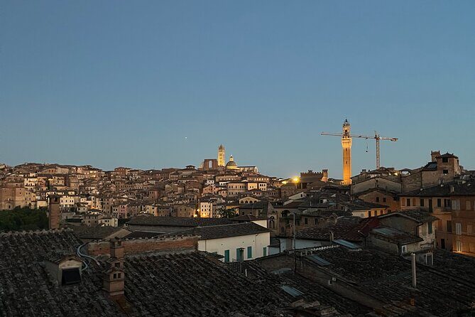 Discover Brunello Wines with DiWine Experience - Who Should Book This Tour?