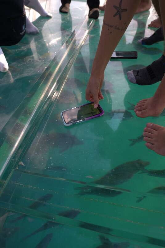 Discover Cabo San Lucas Clear Boat Glass Factory & Tequila - The Itinerary in Detail