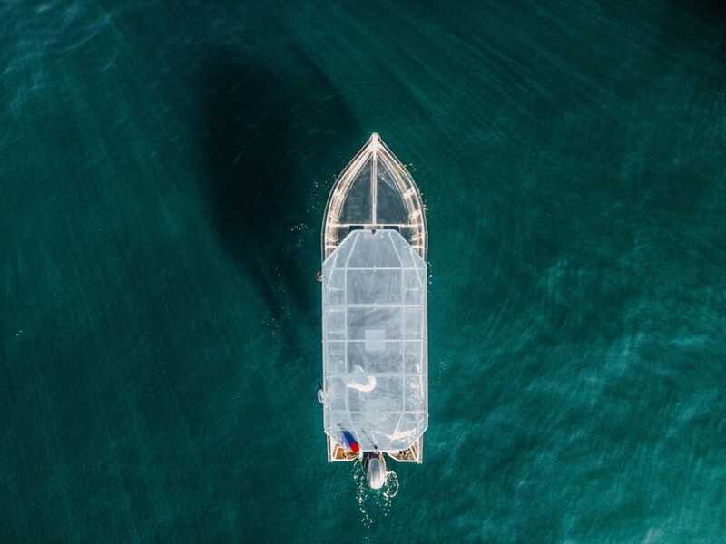 Discover Cabo San Lucas Clear Boat Glass Factory & Tequila - Final Thoughts