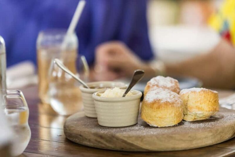 Discover Cairns: Cairns River Cruise & City Sights Tour - FAQ