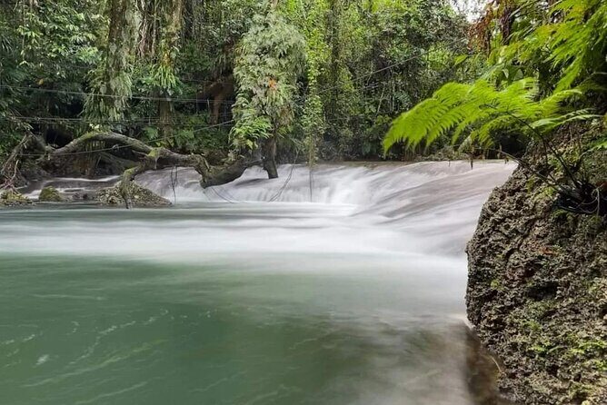 Discover Cascades & Turtle Experience with Yumi Tours - Transport, Guides, and Group Size