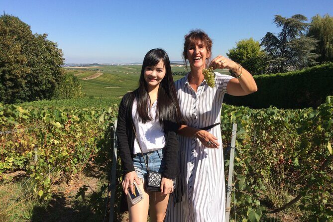 Discover Champagne in half a day in a Van - An In-Depth Look at the Champagne Experience