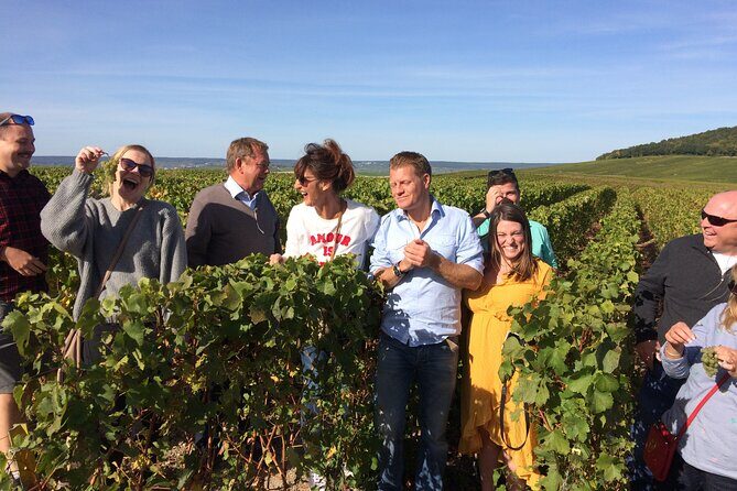 Discover Champagne in half a day in a Van - Final Thoughts