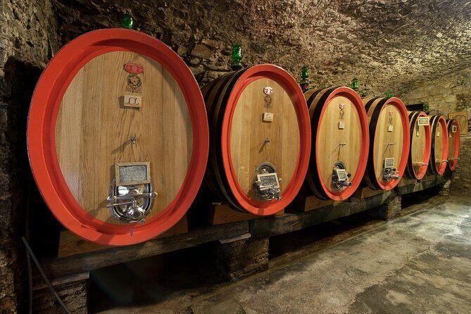 Discover Chianti Classico Wines DiWine Experience - An Authentic Taste of Tuscany: What the Tour Offers