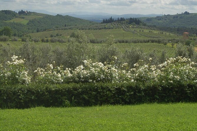 Discover Chianti Through its Wines - Key Points