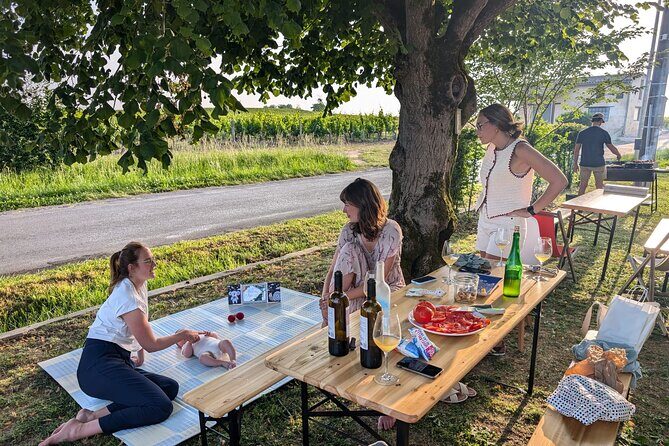 Discover Clos Systey Organic and Biodynamic Wines - Key Points