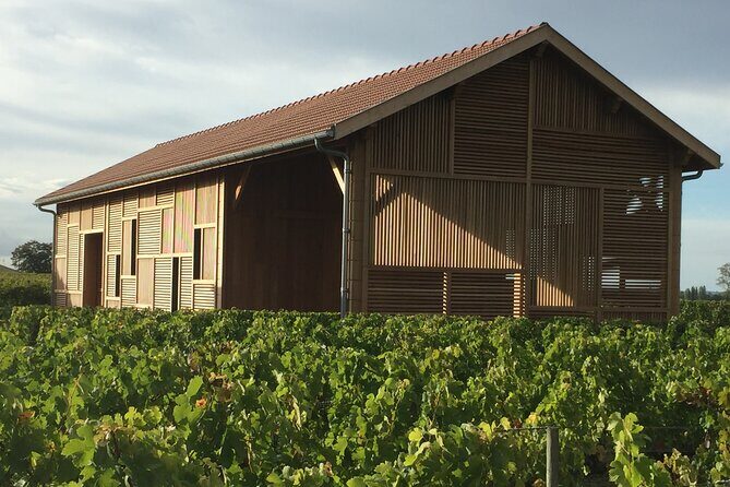Discover Clos Systey Organic and Biodynamic Wines - The Sum Up