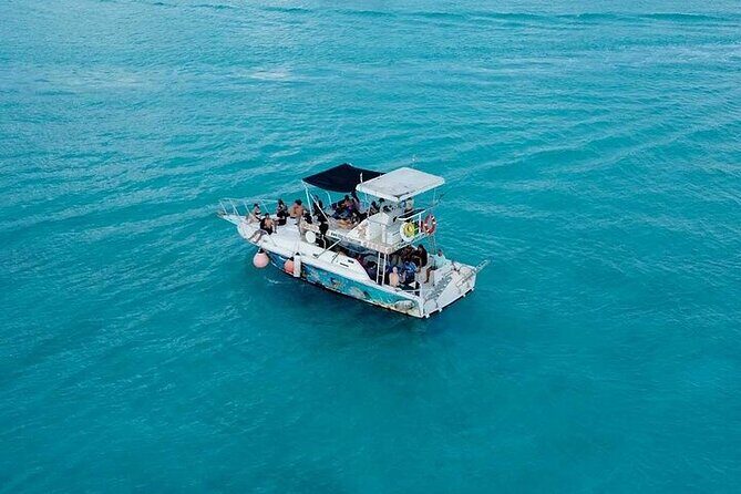 Discover Cozumel's Reef: Glass-bottom Boat Snorkeling Adventure - Who Is This Tour Best For?