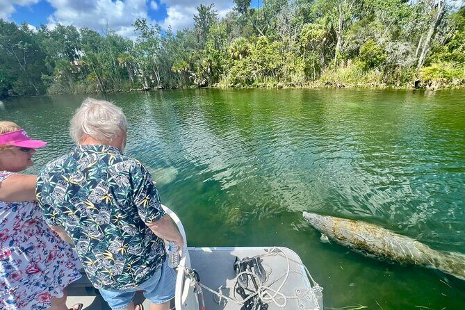 Discover Crystal River's Secrets with Private Boat Tour - FAQ