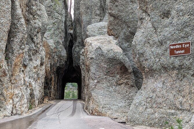 Discover Custer State Park A Self Guided Audio Driving Tour - A Deep Dive into the Custer State Park Audio Tour