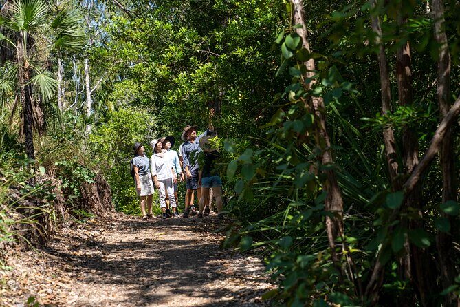 Discover Darwin Harbour 1 hour Darwin Harbour Cruise - The Sum Up