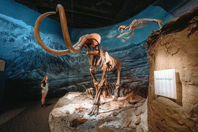 Discover Drumheller, Horseshoe Canyon, Royal Tyrrell Museum - Key Points
