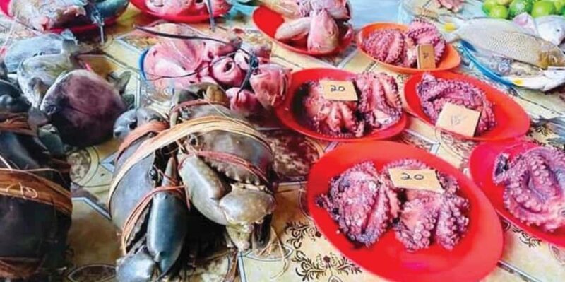 Discover Fijian Culture and Reptiles - A Deep Dive into the Experience