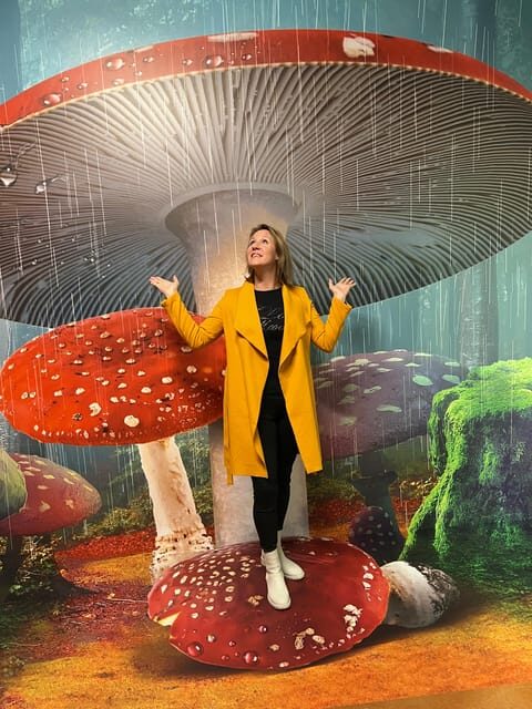 Discover Germany's most exciting photo illusion world! - FAQ