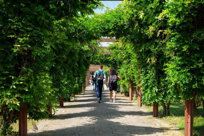 Discover Herculaneum: A guided tour of the ancient Roman city - Key Points