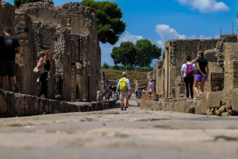 Discover Herculaneum: A guided tour of the ancient Roman city - Why This Tour Is a Great Choice