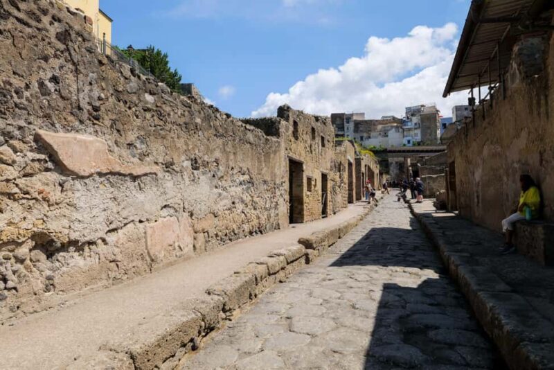 Discover Herculaneum: A guided tour of the ancient Roman city - Who Would Enjoy This Tour?