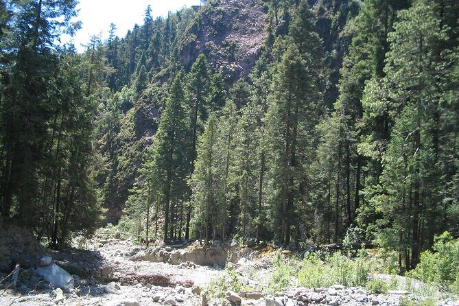 Discover Hiking Trails and a Convent in Desierto de los Leones - Final Thoughts