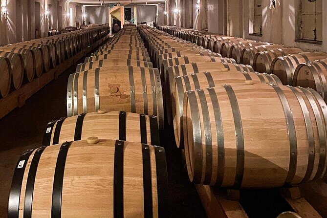 Discover Langhe wines with private tour and expert sommelier - Key Points