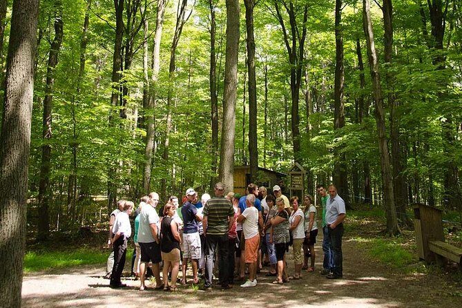 Discover Maple Sugar Bush Tour - Discover Maple Sugar Bush Tour: An Authentic Taste of Ontario’s Maple Heritage