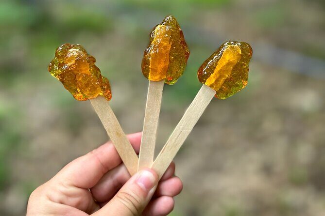 Discover Maple Sugar Bush Tour - A Deep Dive into the Discover Maple Sugar Bush Tour