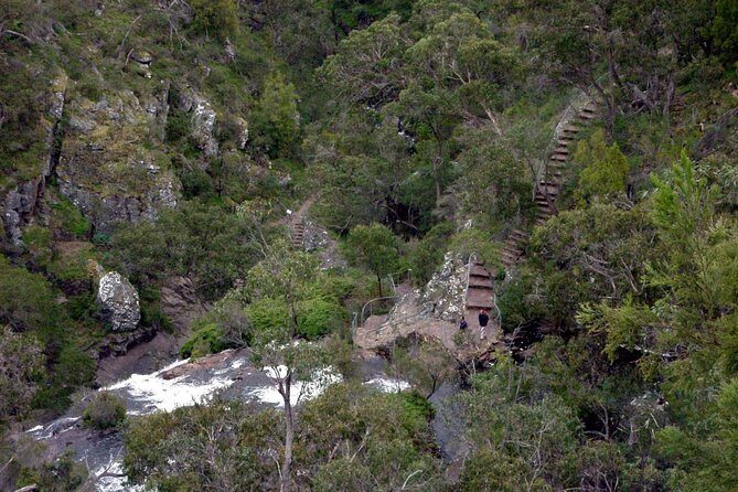 Discover Melbourne - Central - The Authentic Touch: What Reviewers Say