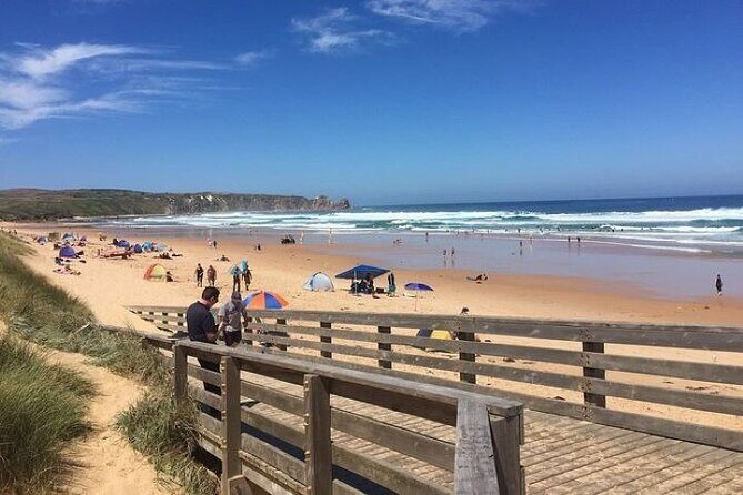 Discover Melbourne City and Penguin Parade Eco Tour - Exploring Melbourne’s Highlights