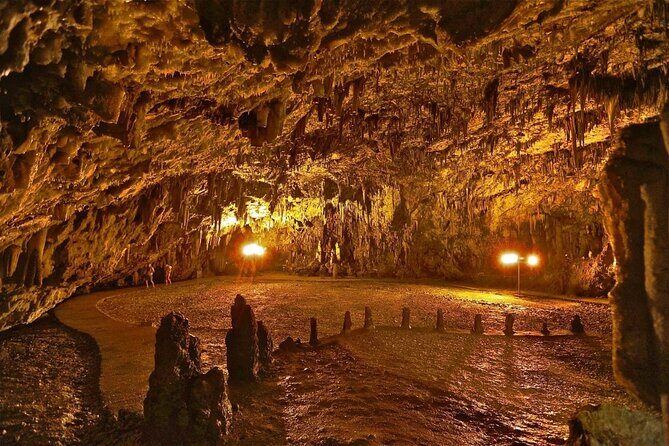 Discover Melisani Cave-Agia Efimia & A photo stop above Myrtos - Final Thoughts: Who Should Book This Tour?