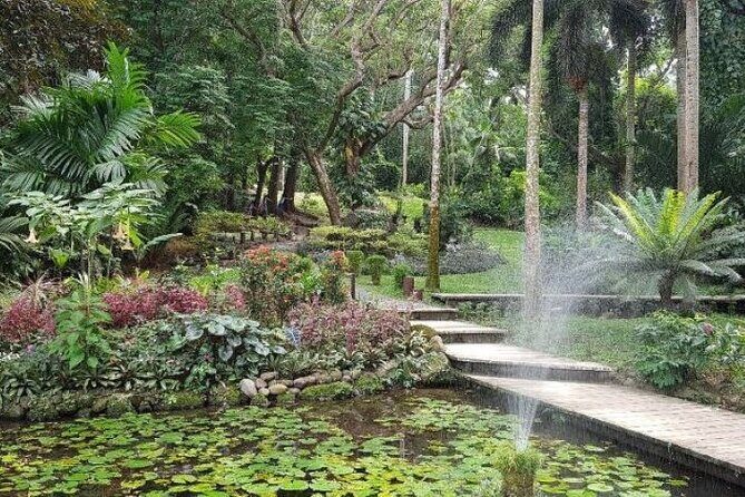 Discover Mud pool/Hot -Spring Nadi - Who Should Book This Tour?