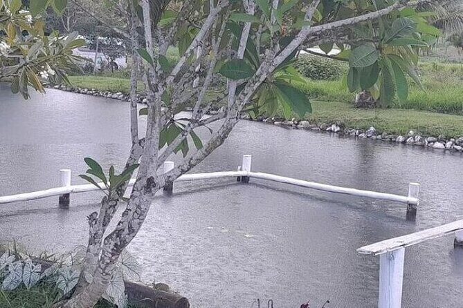 Discover Mud pool/Hot -Spring Nadi - Final Thoughts