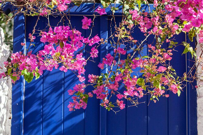 Discover Mykonos in 4 Hours Beaches Villages and Town - Key Points