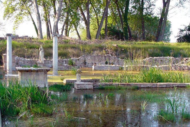 Discover Olympus & Dion: Private Day Trip from Thessaloniki - Transportation and Logistics