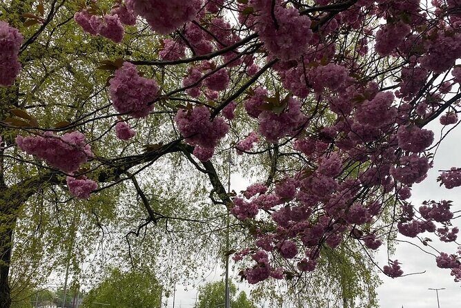 Discover Oslo on foot - Practical Details: What to Expect