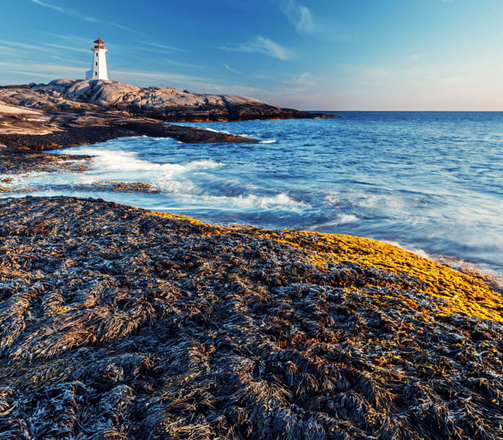 Discover Peggy's Cove: Private Journey from Halifax - Key Points