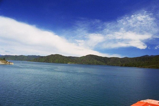 Discover Picton: Self-Guided Audio Tour - The Practicalities