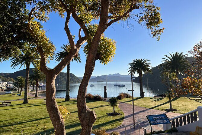 Discover Picton: Self-Guided Audio Tour - Who Will Love This Tour?