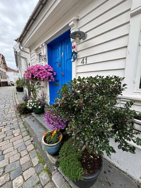 Discover Private+ Stavanger Guided City Tour - Historical and Cultural Sights