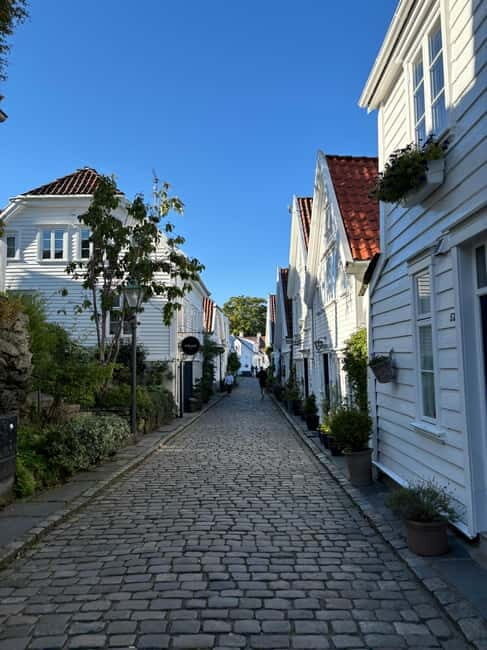 Discover Private+ Stavanger Guided City Tour - What Travelers Say