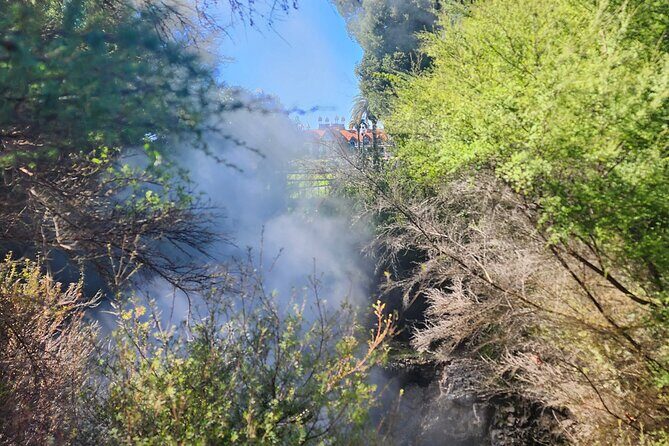 Discover Rotorua Guided Walking Tour of Hidden Gems - Key Points