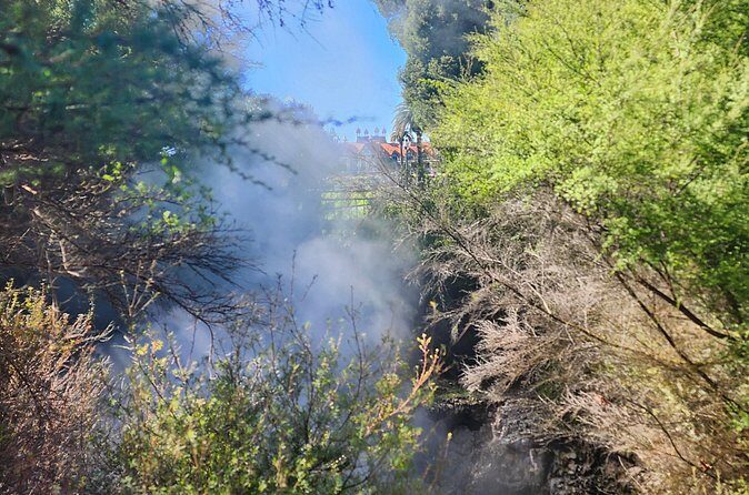Discover Rotorua Guided Walking Tour of Hidden Gems - Frequently Asked Questions