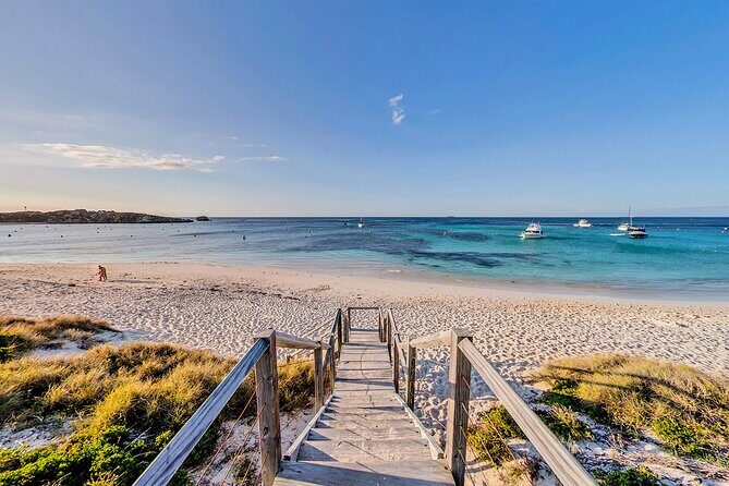 Discover Rottnest with Ferry & Bus Tour - The Sum Up