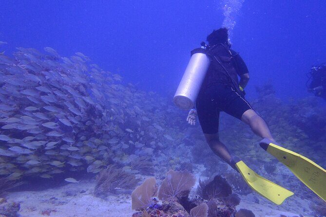 Discover Scuba - Why Choose This Discover Scuba Tour?