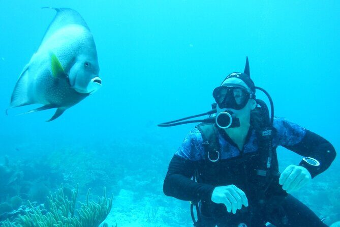 Discover Scuba - Who Should Consider This Tour?