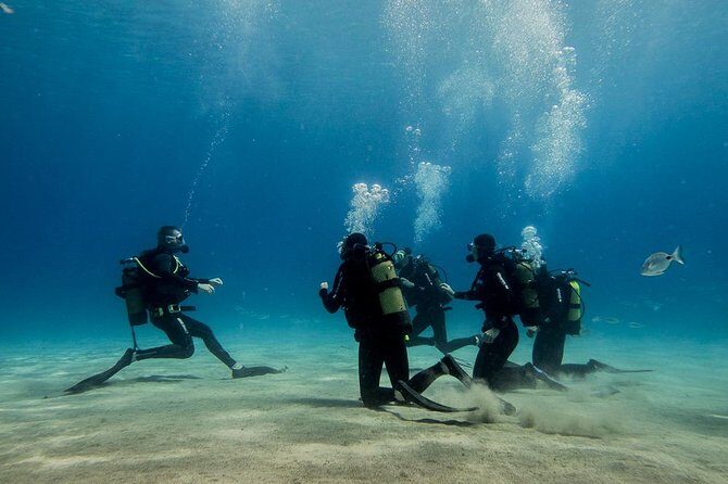 Discover Scuba Diving - An Honest Breakdown of the Experience