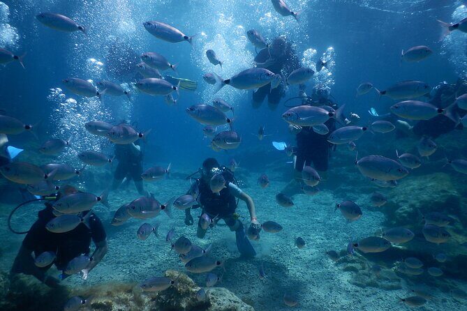 Discover Scuba Diving - How the Tour is Structured