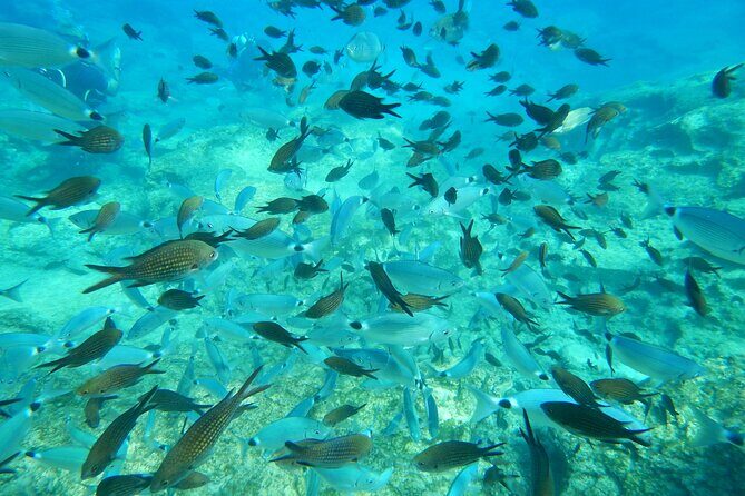 Discover Scuba Diving - Practical Details and Considerations