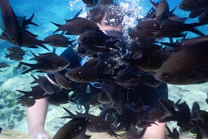 Discover Scuba Diving - Final Thoughts