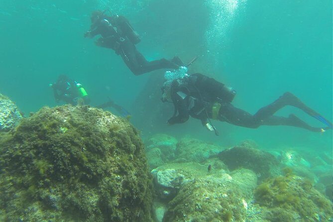 Discover scuba diving - Practical Tips for Your Booking