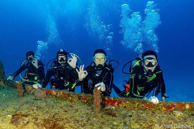Discover Scuba Diving at Cozumel Marine Park - What’s Included & What’s Not