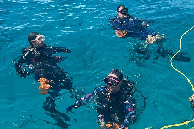 Discover Scuba Diving Course Pool Training Session in Key Largo. - An In-Depth Look at the Experience